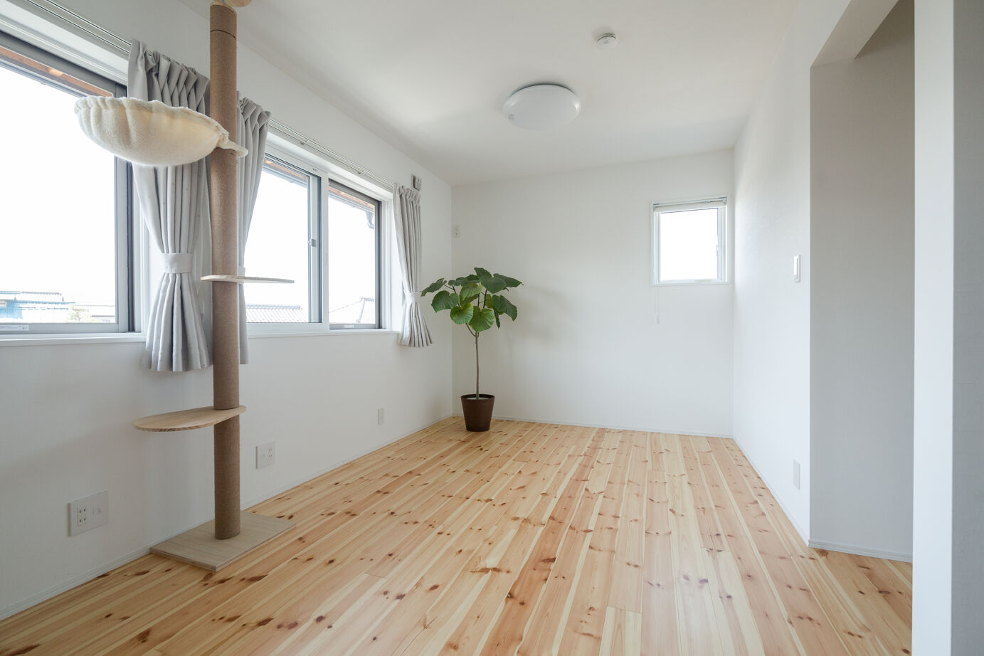 【SUUMO】 【芝生の庭/4LDK/38坪/3000万円台】子育てのしやすさを重視したペットと暮らす家 - 湯本工務店 の建築実例詳細 | 注文住宅